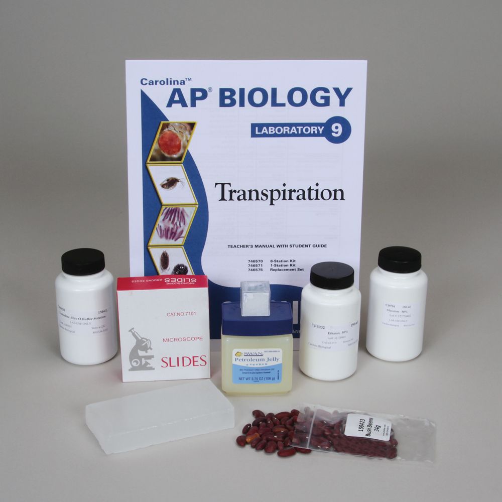 Transpiration 8-Station Replacement Set | Carolina Biological Supply