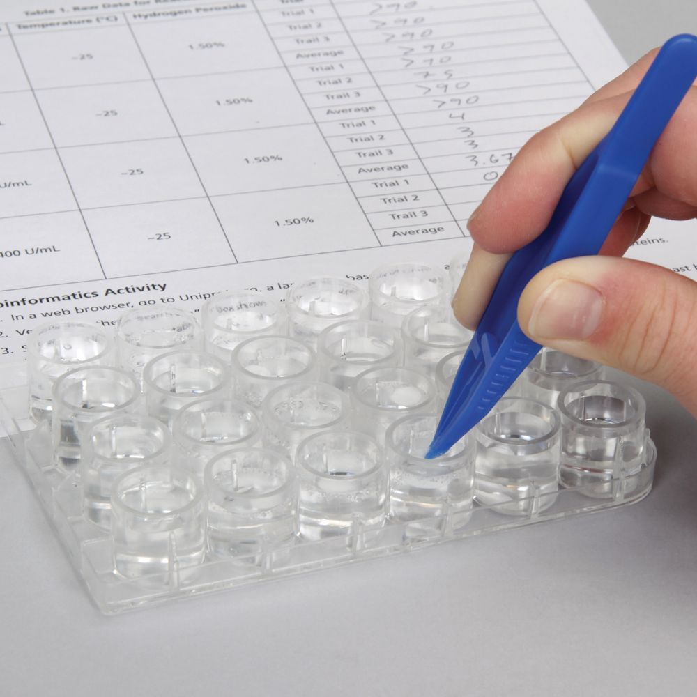 Evolving Enzymes, Carolina Investigations® for Use with AP Biology 8 ...