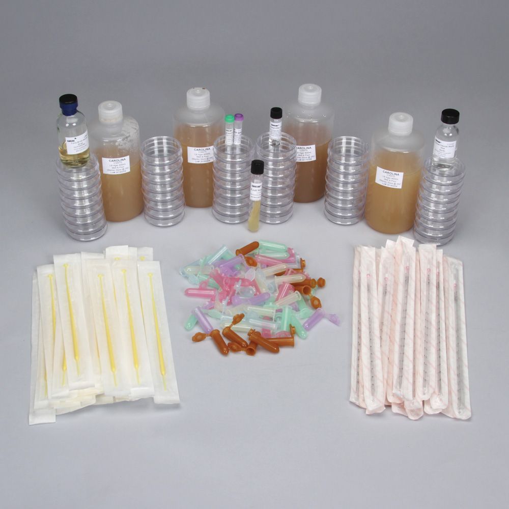 Transformation Materials Kit (with perishables) for AP® Example Labs ...