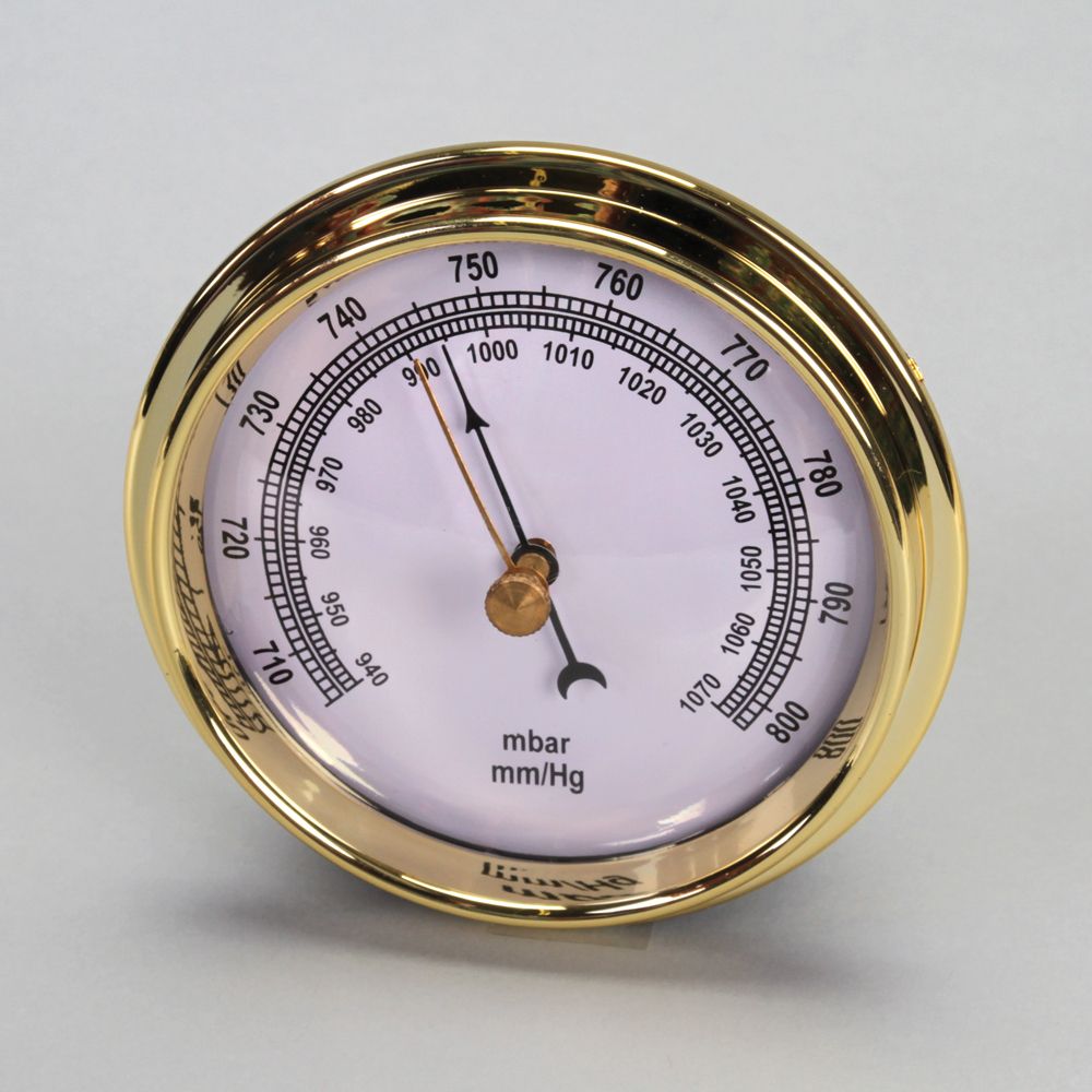 Junior Barometer | Carolina.com