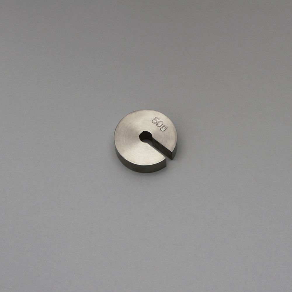 Eisco® Stainless-Steel Slotted Mass, 50 g | Carolina Biological Supply