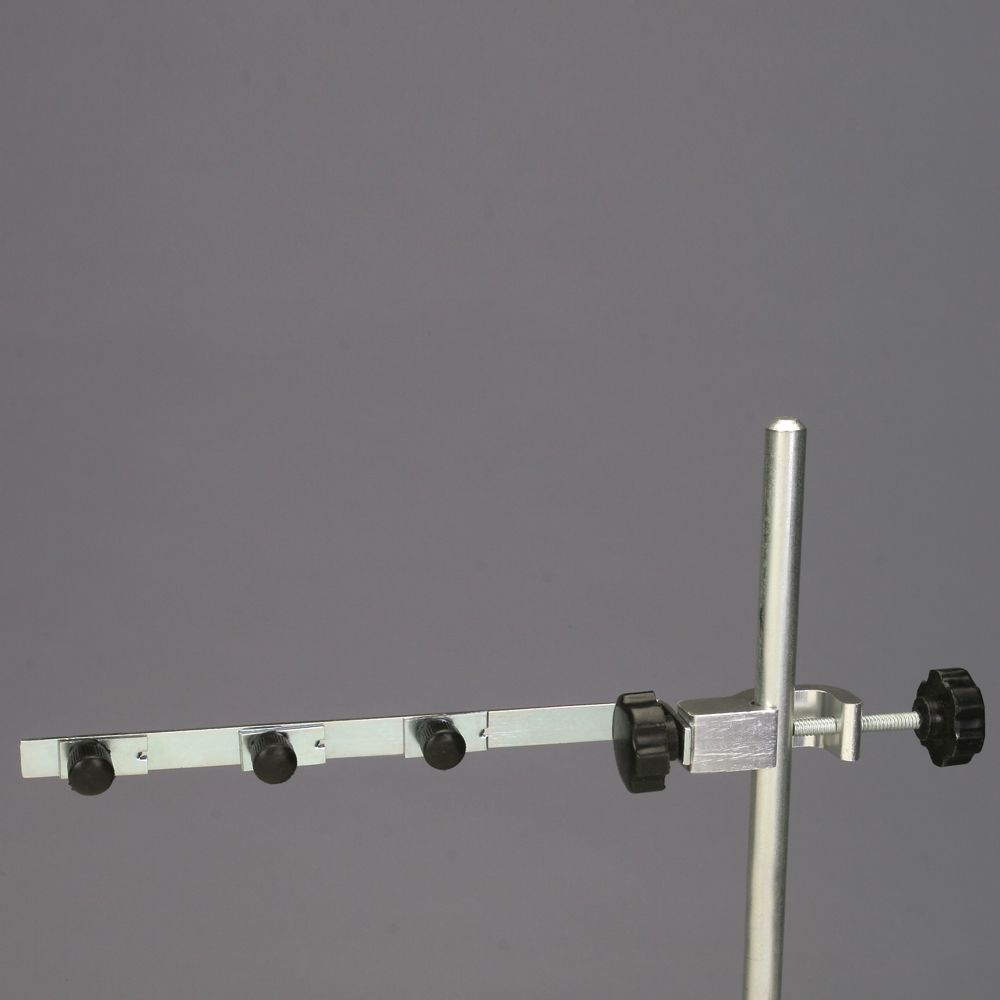 Pendulum Clamp | Carolina.com