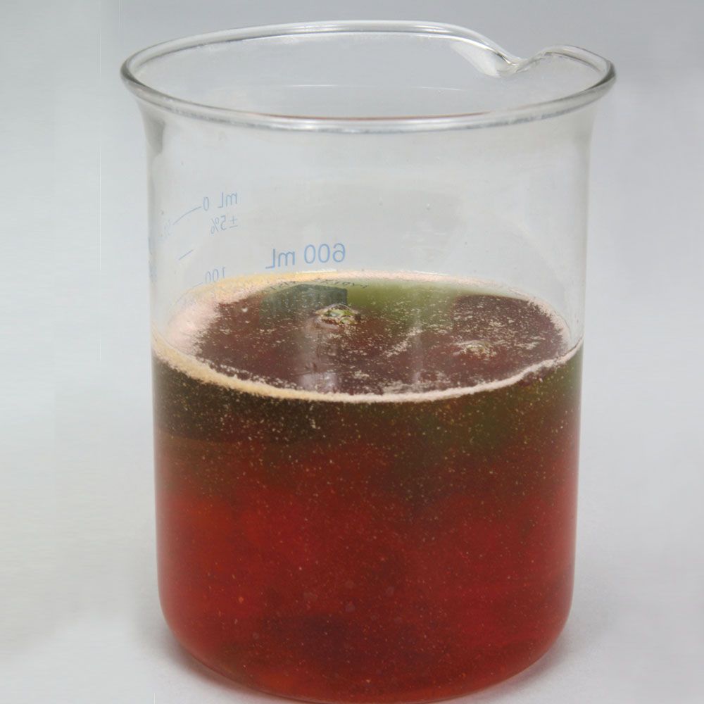 Exploring Household Acids and Bases Kit | Carolina Biological Supply