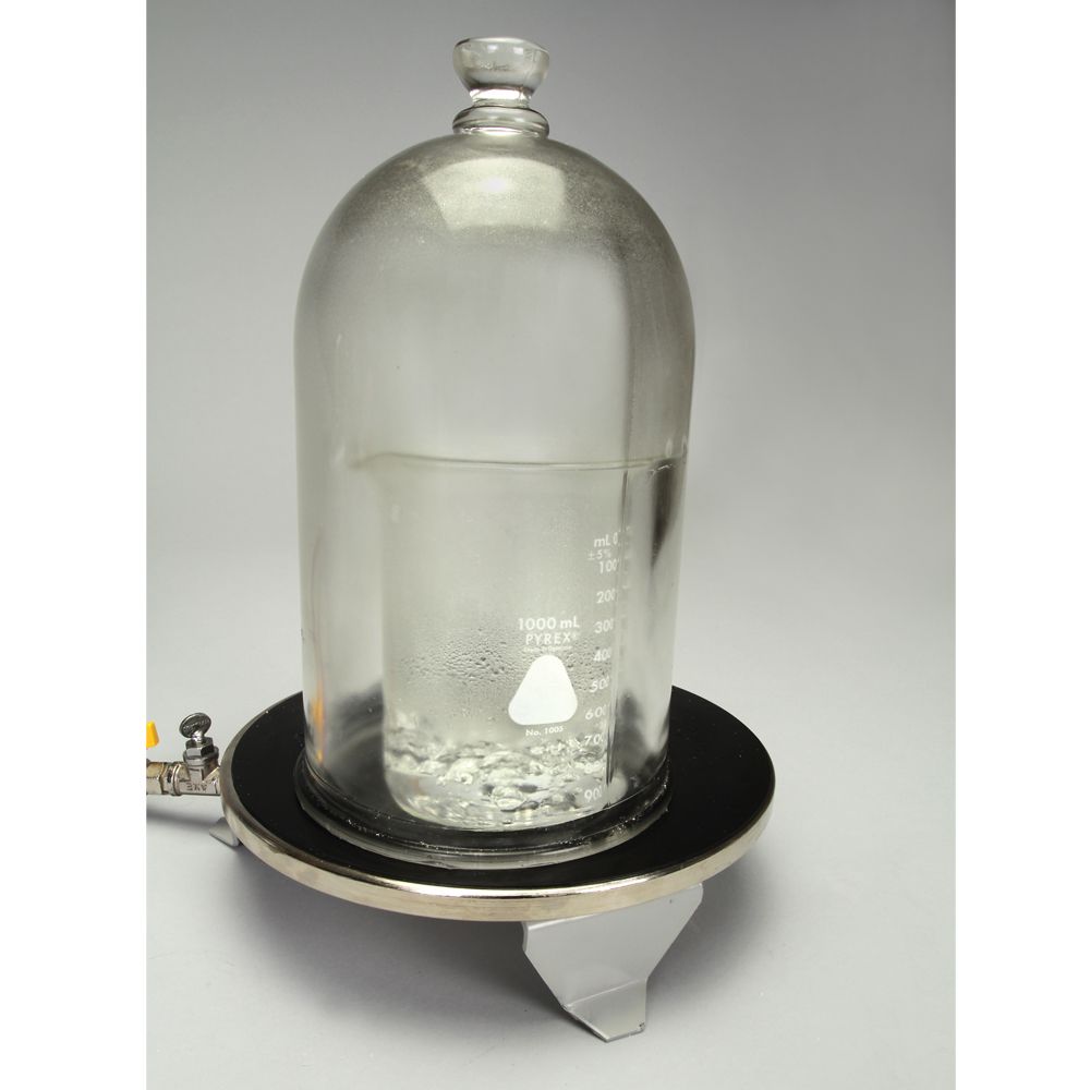 Vacuum Plate, Metal | Carolina Biological Supply