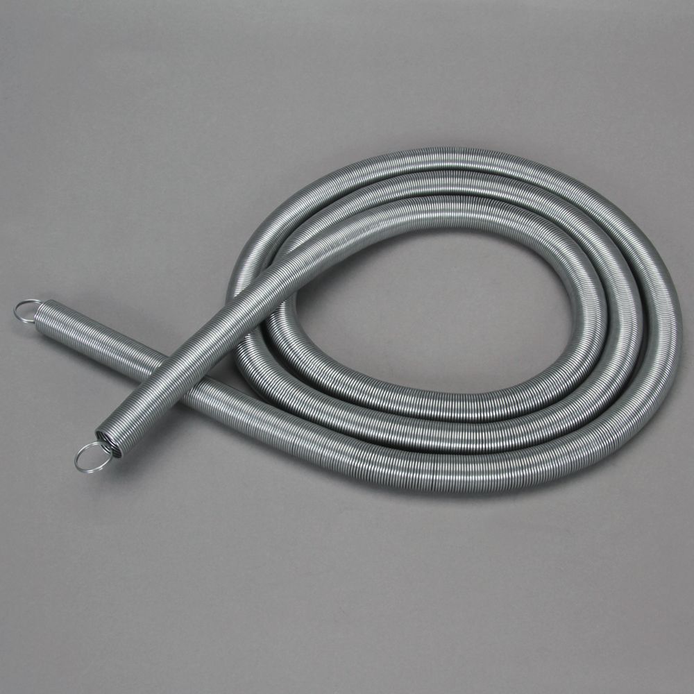 Narrow Coiled Spring | Carolina.com