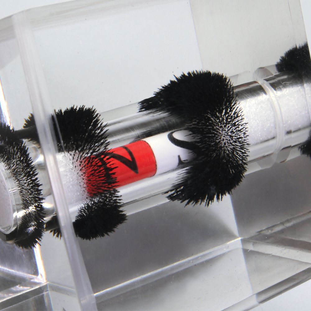 Magnetic Field Cube | Carolina Biological Supply