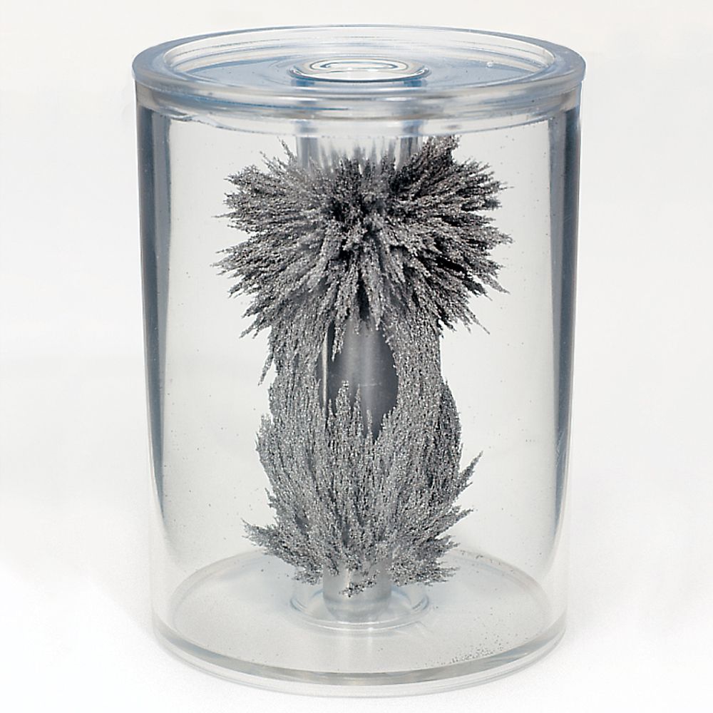 Magnetic Field Tube | Carolina.com