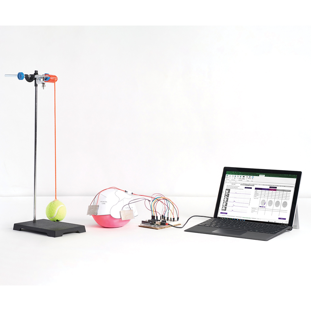 Carolina® Brain Impact Simulation Classroom Kit | Carolina Biological ...