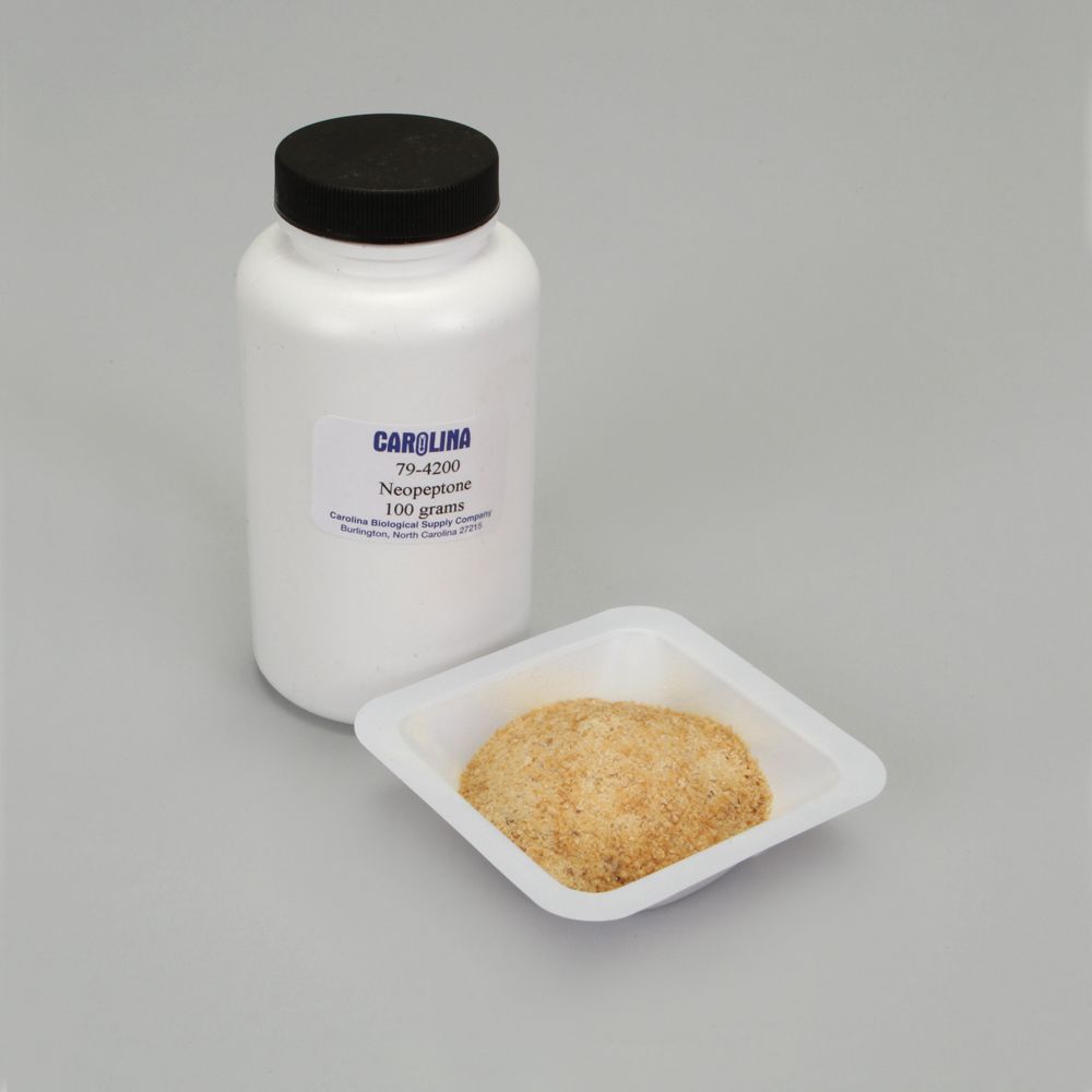 Neopeptone and Proteose Peptone Culture Medium | Carolina Biological Supply