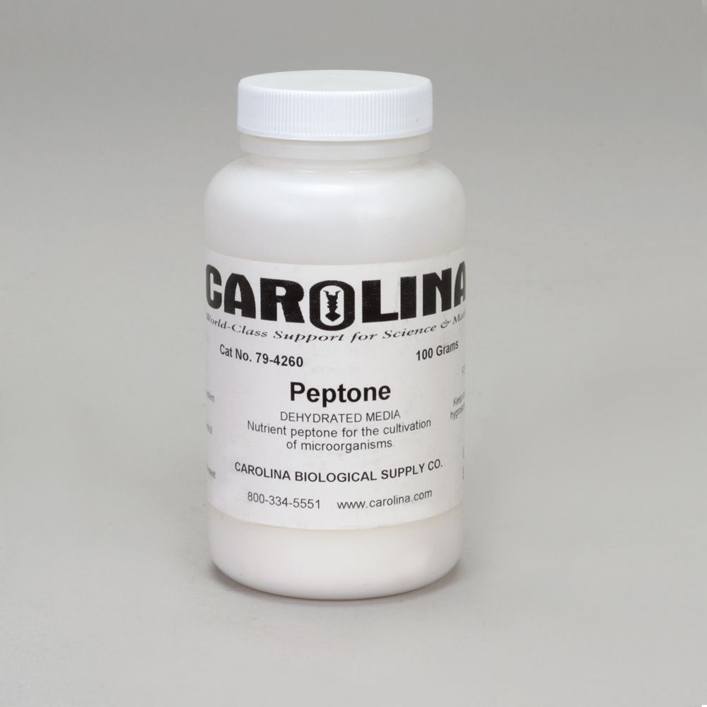 Trypticase Peptone, 100 g | Carolina Biological Supply