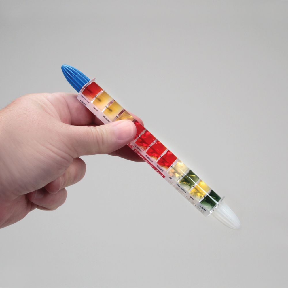 EnteroPluri, Pack of 25 | Carolina Biological Supply