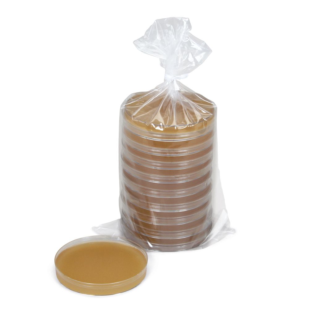 Photobacterium Agar, Prepared Media Plates, 100 x 15 mm, Pack of 10 ...