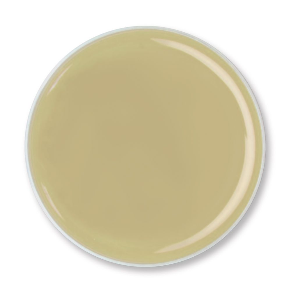 Tryptic Soy Agar, Prepared Media Plates, 100 x 15 mm, Pack of 10 ...