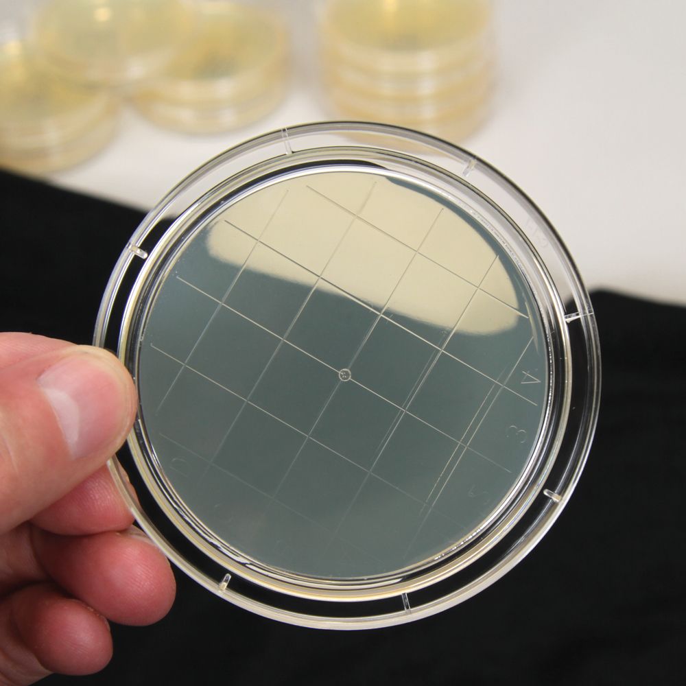 Contact Plates, Pack 10 | Carolina Biological Supply