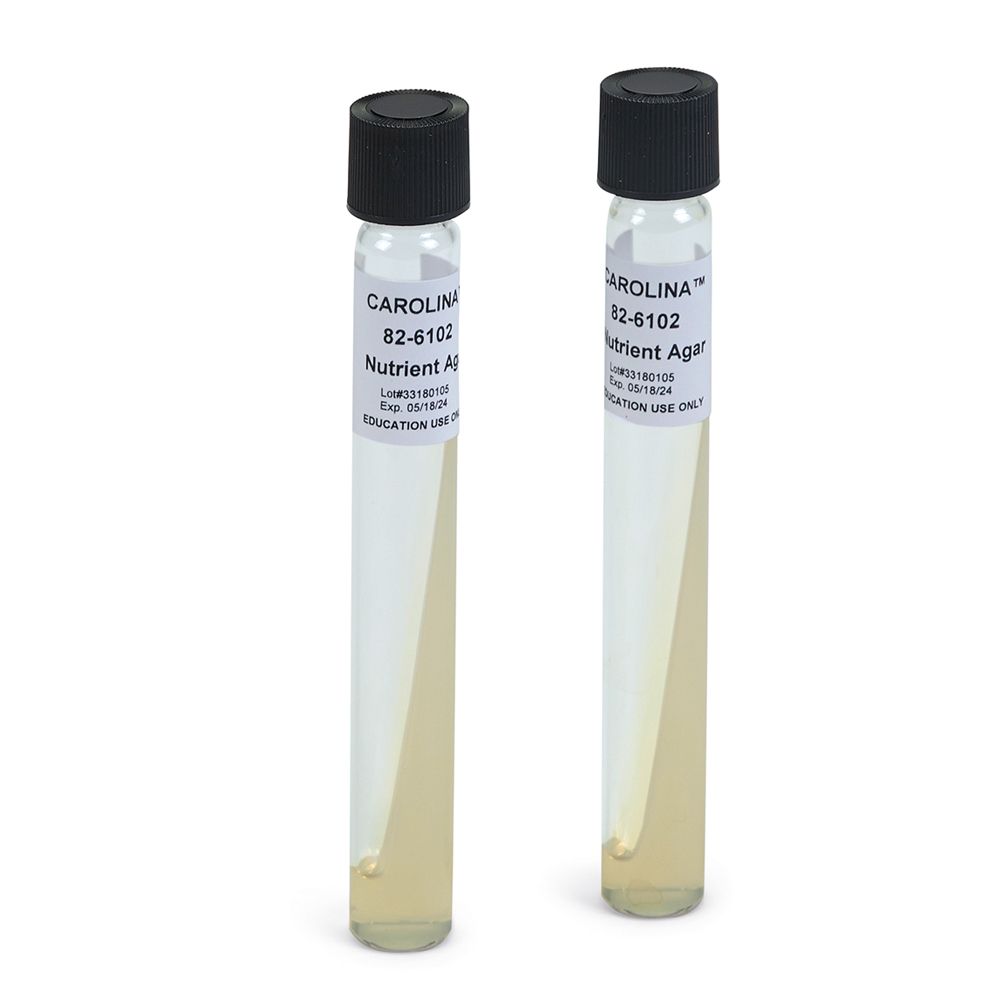 Nutrient Agar Slant, Prepared Media Tubes, Pack of 10 | Carolina ...