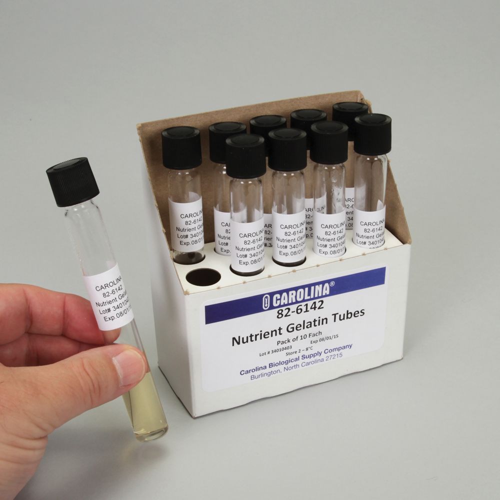 Nutrient Gelatin, Prepared Media Tubes, Pack of 10 | Carolina ...