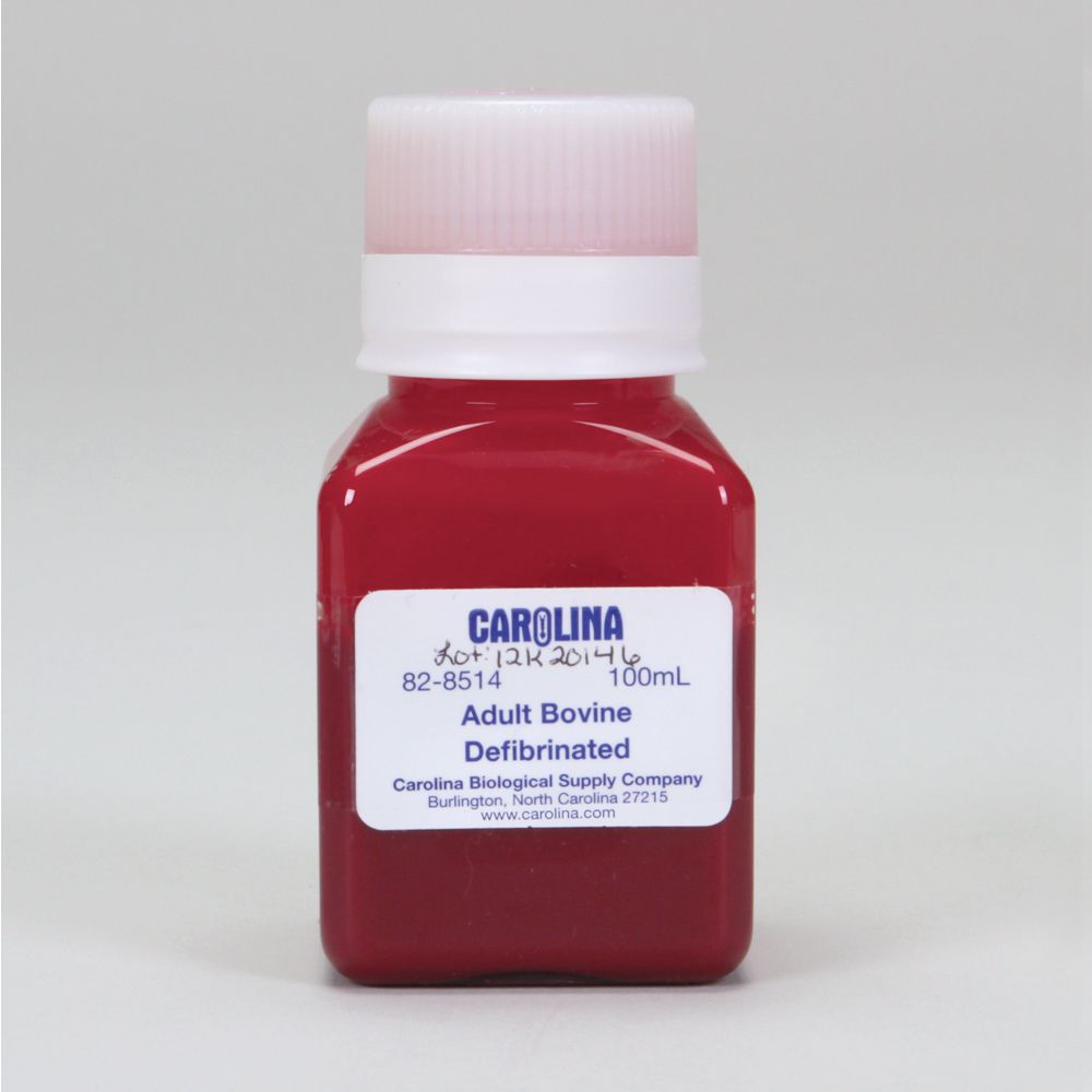 Bovine Blood, Defibrinated, Pooled, 100 mL | Carolina Biological Supply