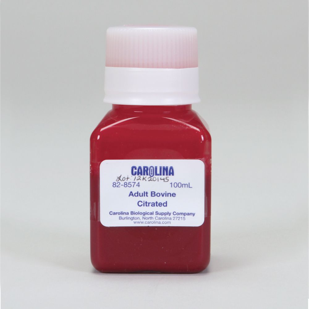 Bovine Blood, Citrated, Pooled, 100 mL | Carolina Biological Supply