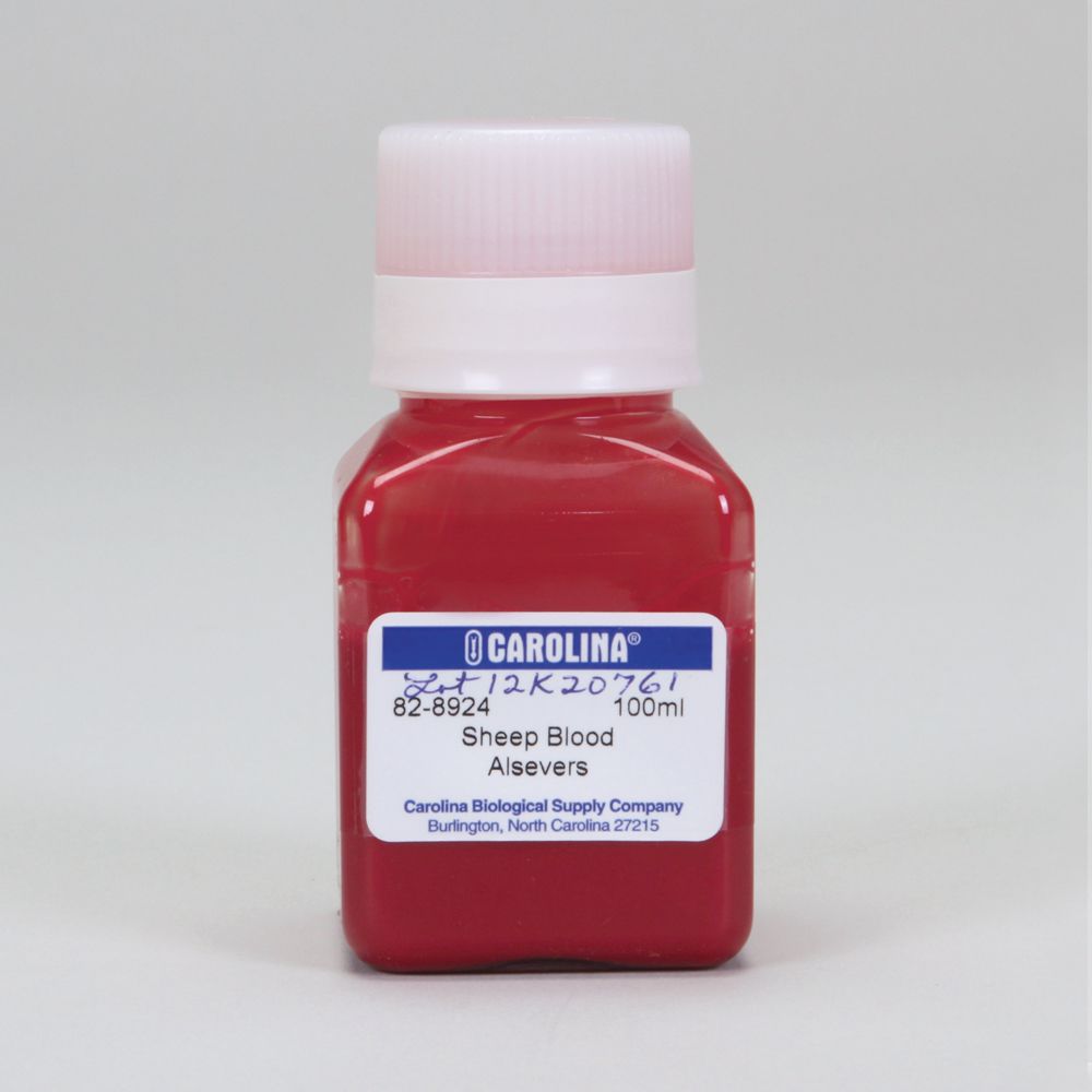 Sheep Blood, Alsever, Pooled, 100 mL | Carolina.com