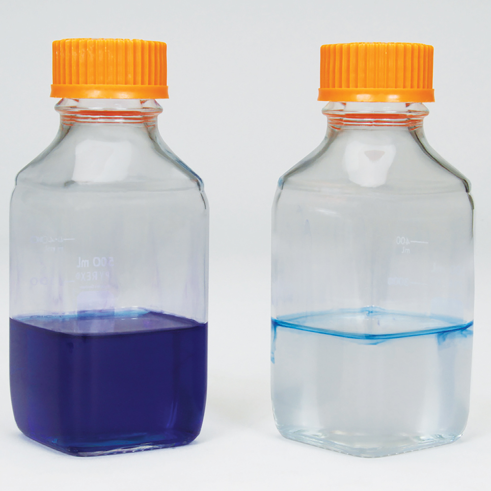 Blue Bottle Kit | Carolina Biological Supply