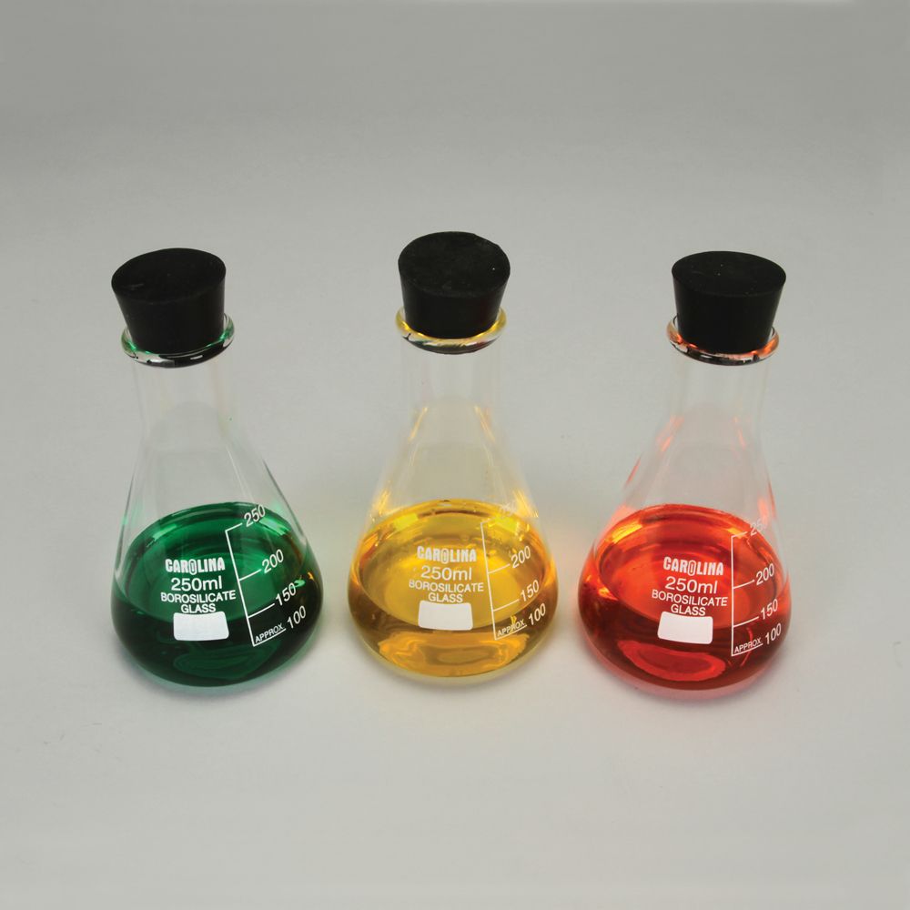 Carolina Chemonstrations® for Use with AP® Chemistry: Reaction Rates ...