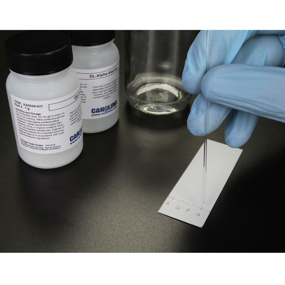Carolina ChemKits®: Thin Layer Chromatography of Amino Acids | Carolina ...
