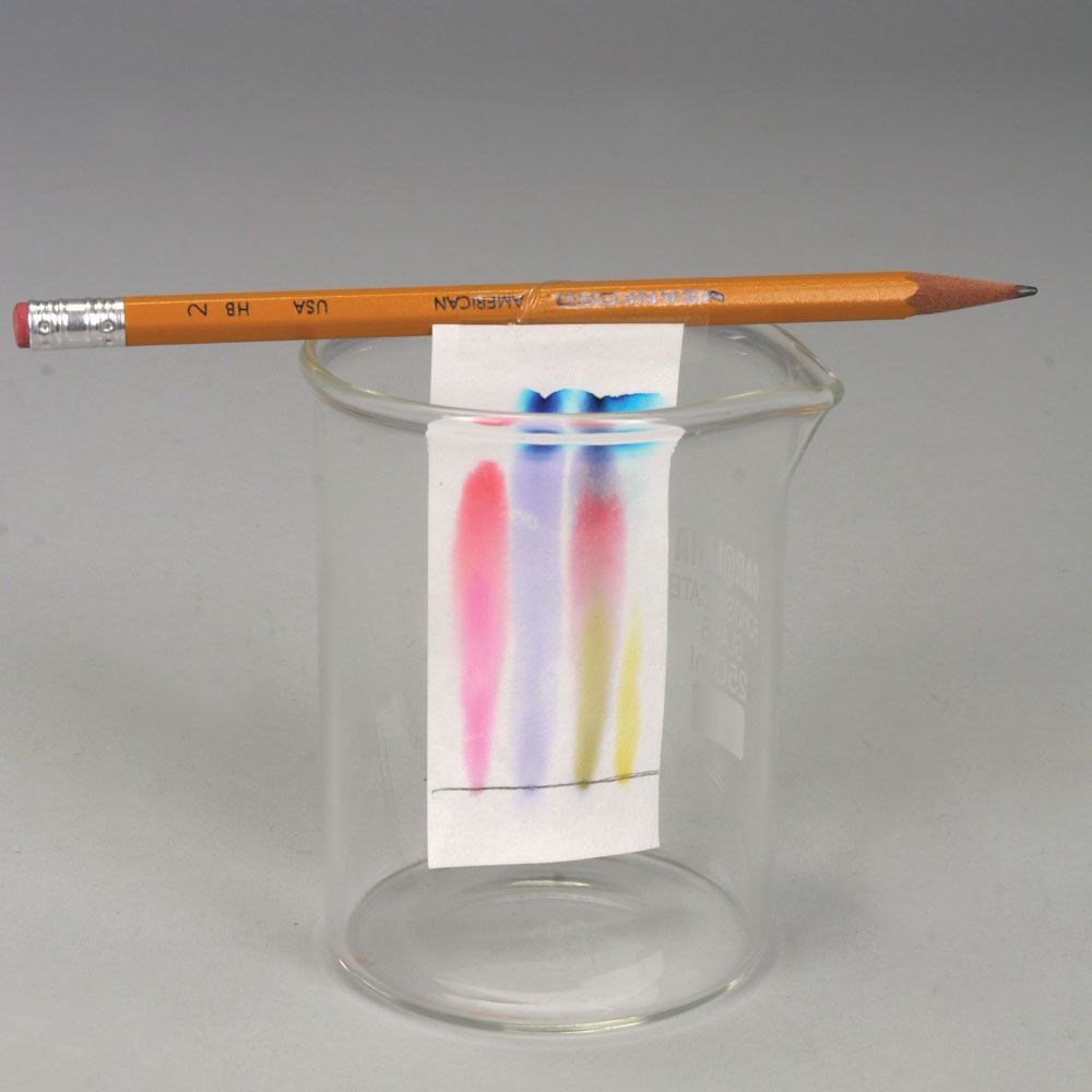 Carolina ChemKits®: Elements, Compounds, and Mixtures Kit | Carolina ...