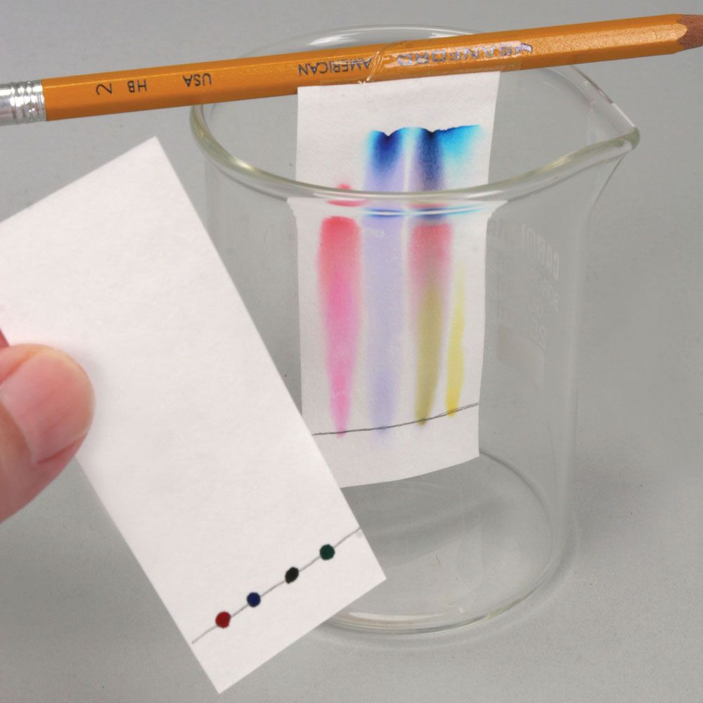 Carolina ChemKits®: Elements, Compounds, and Mixtures Kit | Carolina ...