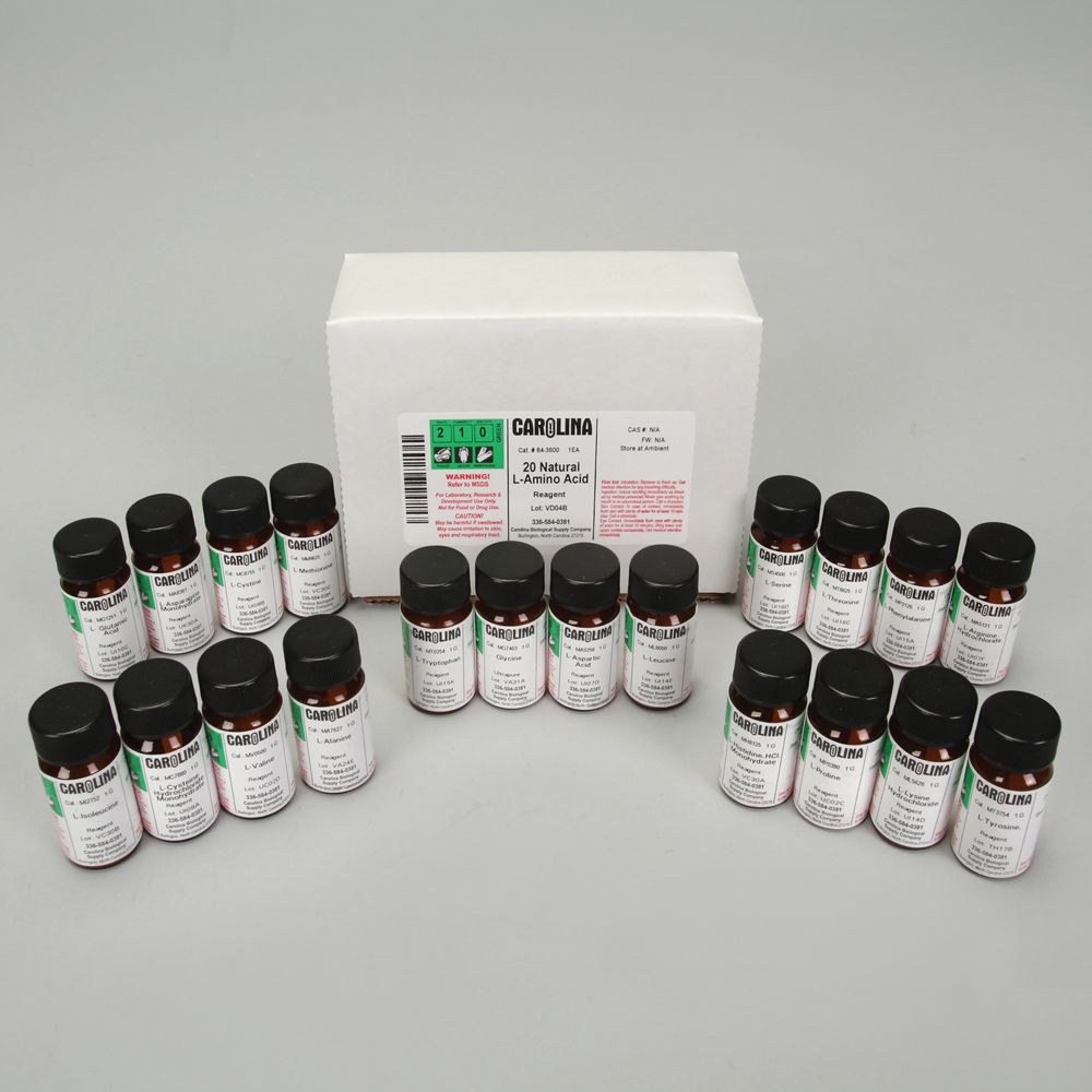 20 Natural Amino Acids Set | Carolina Biological Supply