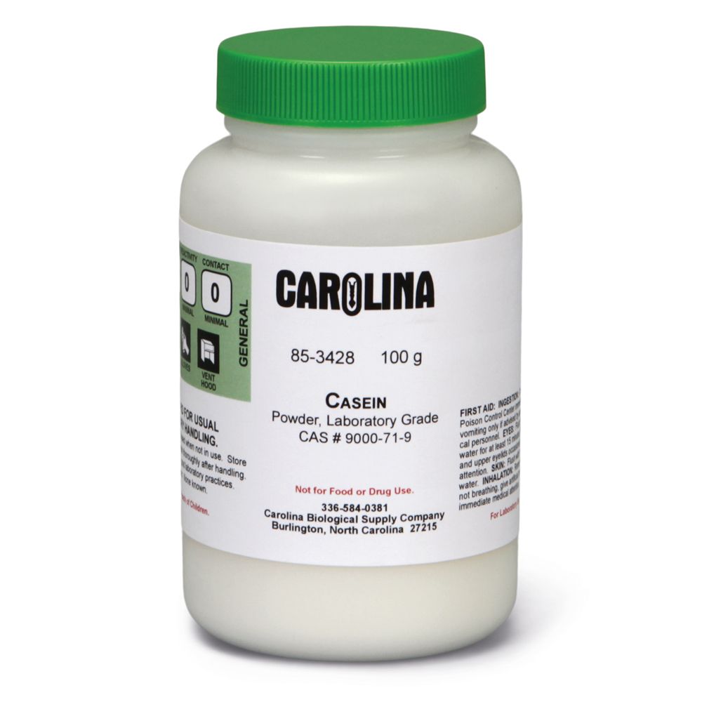 Casein, Powder, Laboratory Grade, 100 g | Carolina Biological Supply