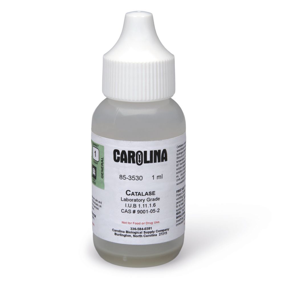 Catalase, Laboratory Chemical Grade | Carolina.com