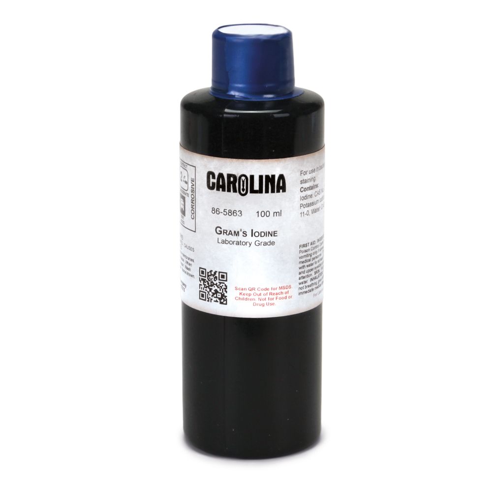 Gram Iodine, Laboratory Grade, 100 mL | Carolina Biological Supply