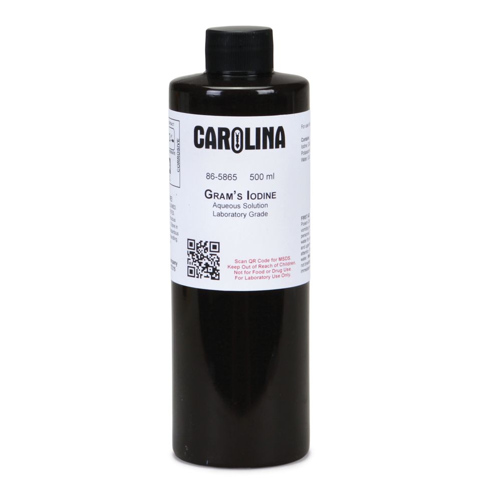 Gram Iodine, Laboratory Grade, 500 mL | Carolina Biological Supply