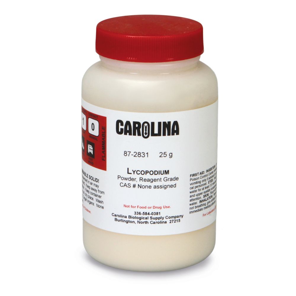 Lycopodium Powder, Reagent Grade, 25 g | Carolina Biological Supply