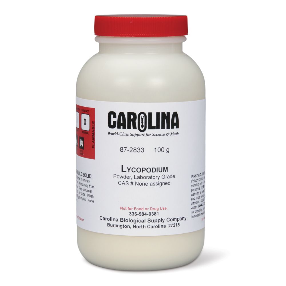 Lycopodium Powder, Laboratory Grade, 100 g | Carolina Biological Supply