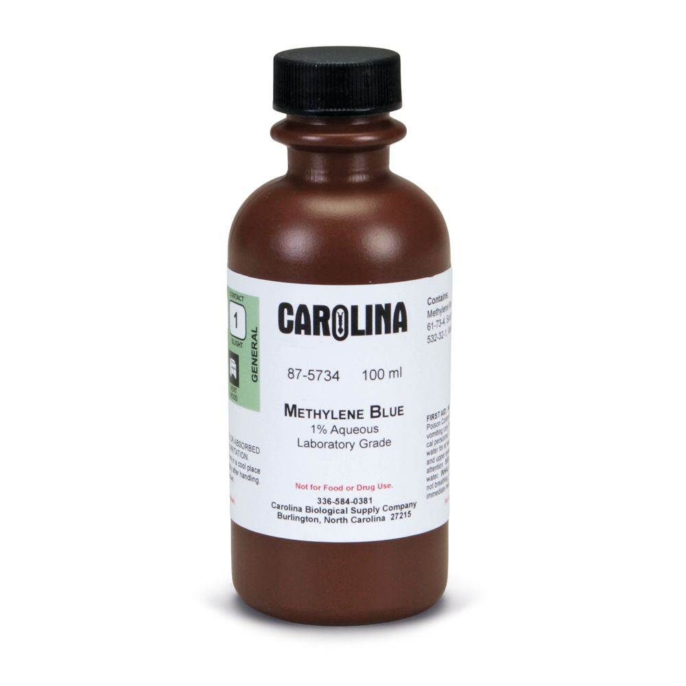 Methylene Blue Solution, 1.0% Aqueous, Laboratory Grade, 100 mL ...
