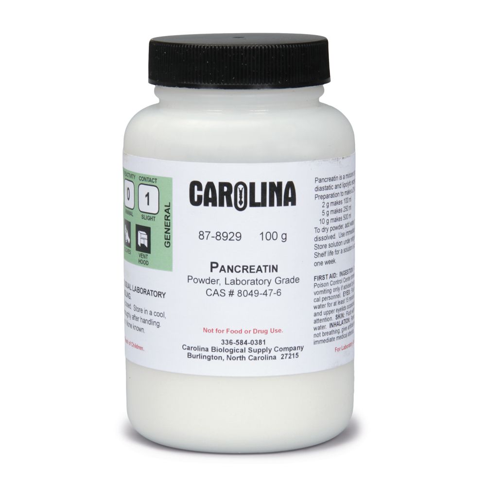 Pancreatin, Powder, Laboratory Grade, 100 g | Carolina Biological Supply