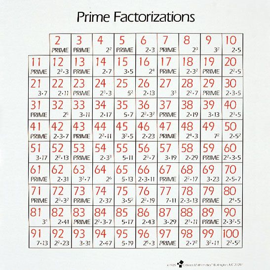 Carolina Mathematics Prime Chart Set | Carolina.com