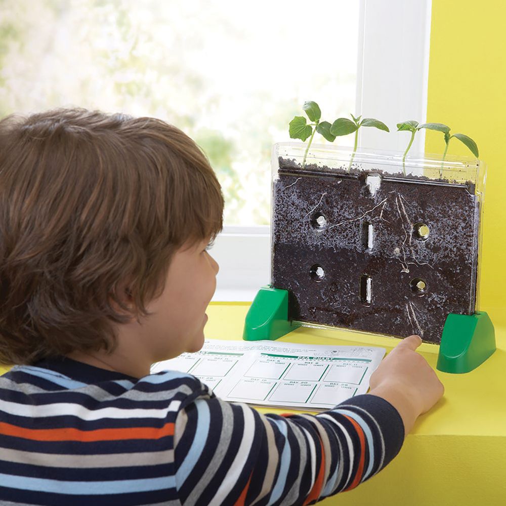 Sprout & Grow™ Window | Carolina Biological Supply