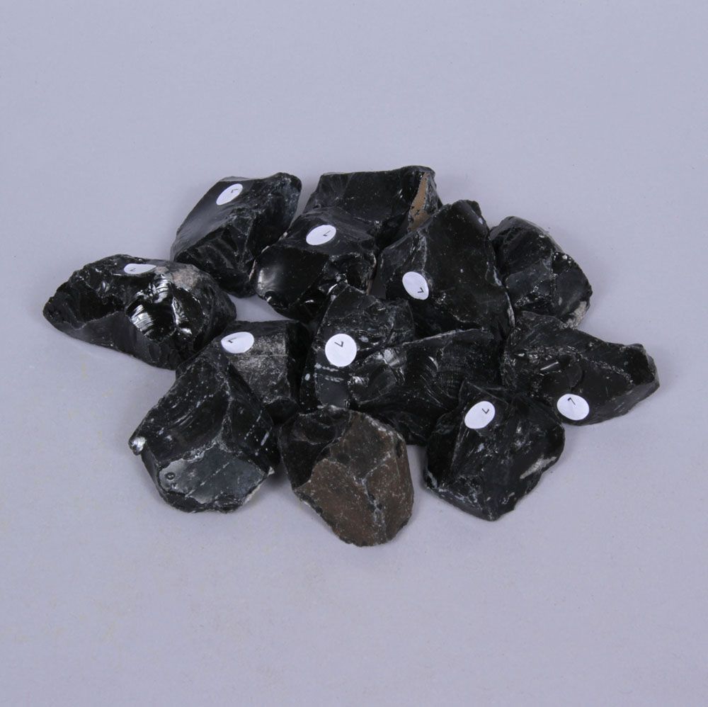 Obsidian Specimen (labeled "7"), Pack of 16 | Carolina Biological Supply