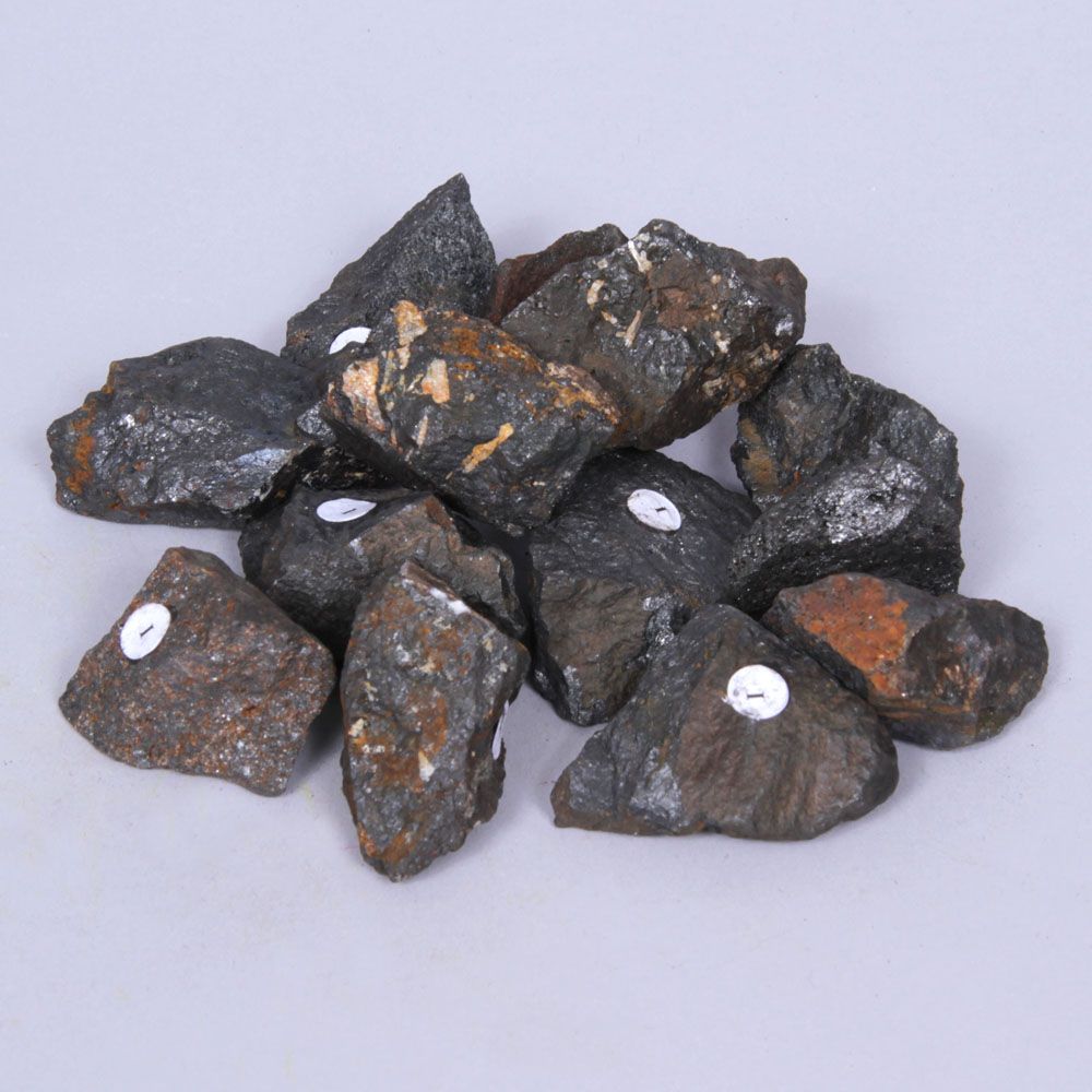 Magnetite (lodestone) Specimen (labeled "I"), Pack of 16 | Carolina.com