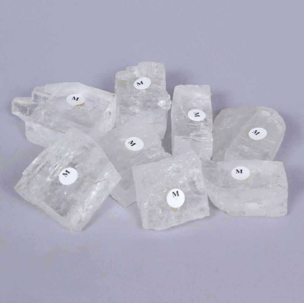 Halite Specimen (labeled "M"), Pack of 16 | Carolina Biological Supply