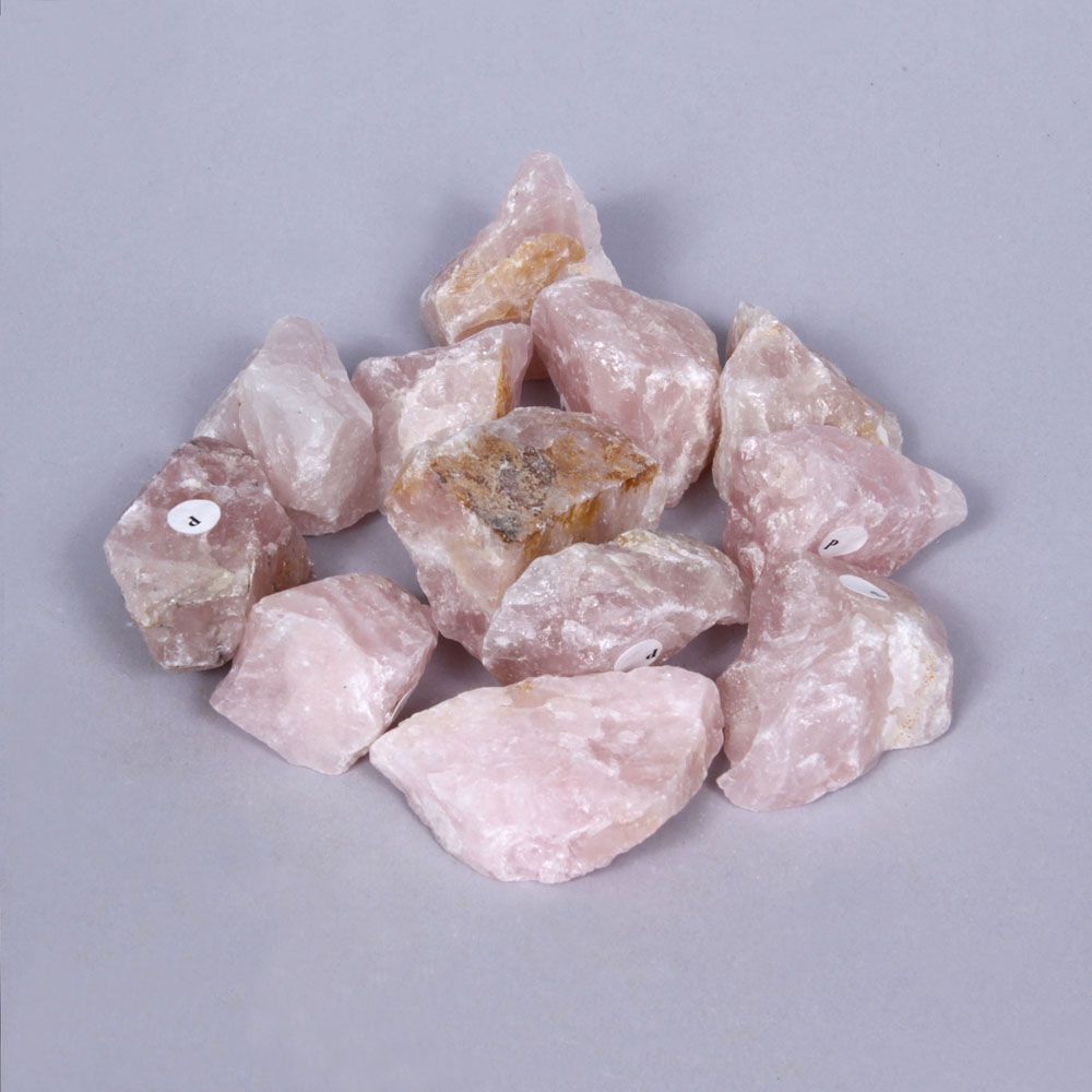 Quartz (pink crystal) Specimen (labeled "P"), Pack of 16 | Carolina ...