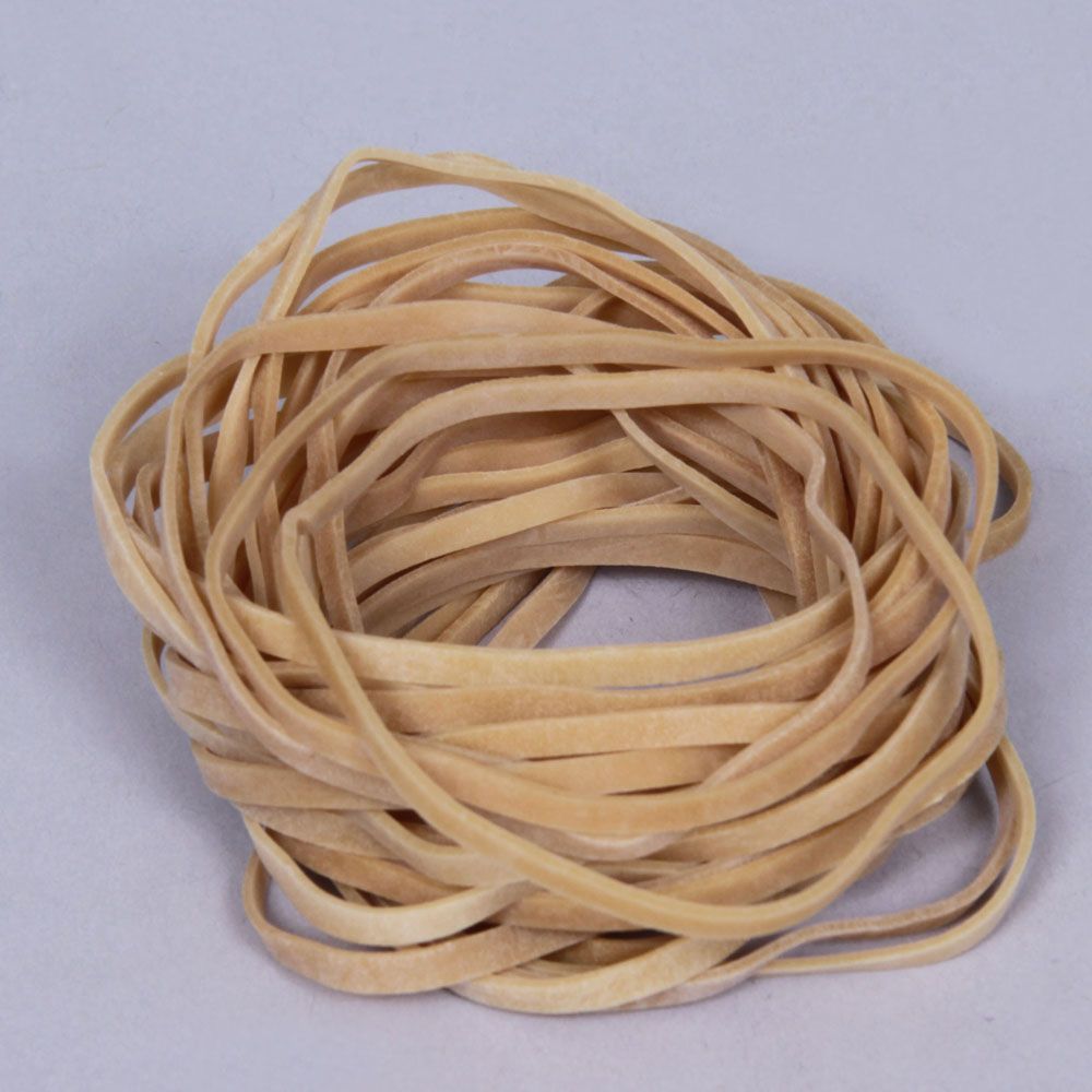 Rubber Band, #33, Pack of 32 | Carolina.com