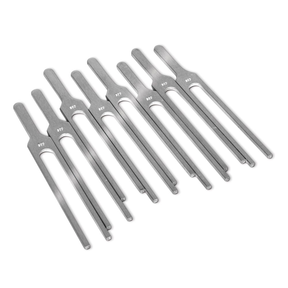 Tuning Fork, Large (low pitch), Pack of 8 | Carolina Biological Supply