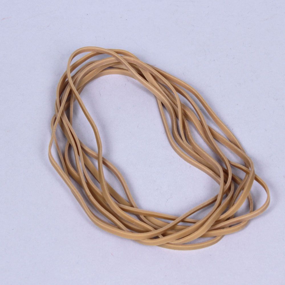 Rubber Band, Large, Pack of 8 | Carolina Biological Supply