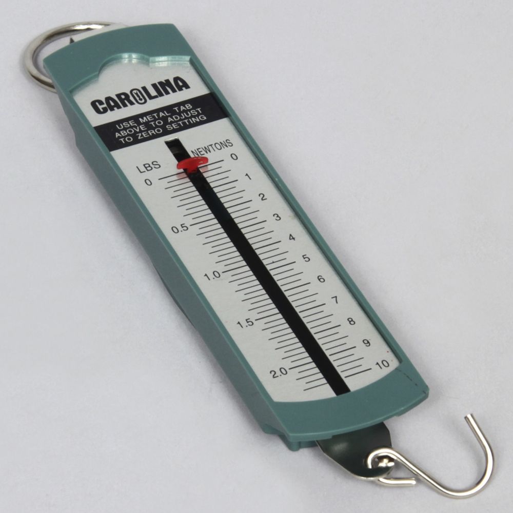 Scale, Spring, 0-10 N, Pack of 16 | Carolina.com