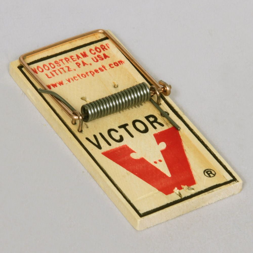 Mousetrap, Pack of 10 | Carolina Biological Supply