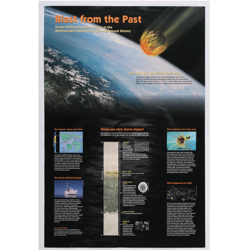 Poster: Blast from the Past | Carolina.com