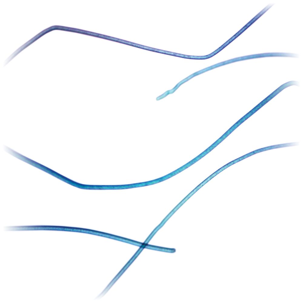 Fibers, Nylon, w.m., Microscope Slide | Carolina Biological Supply